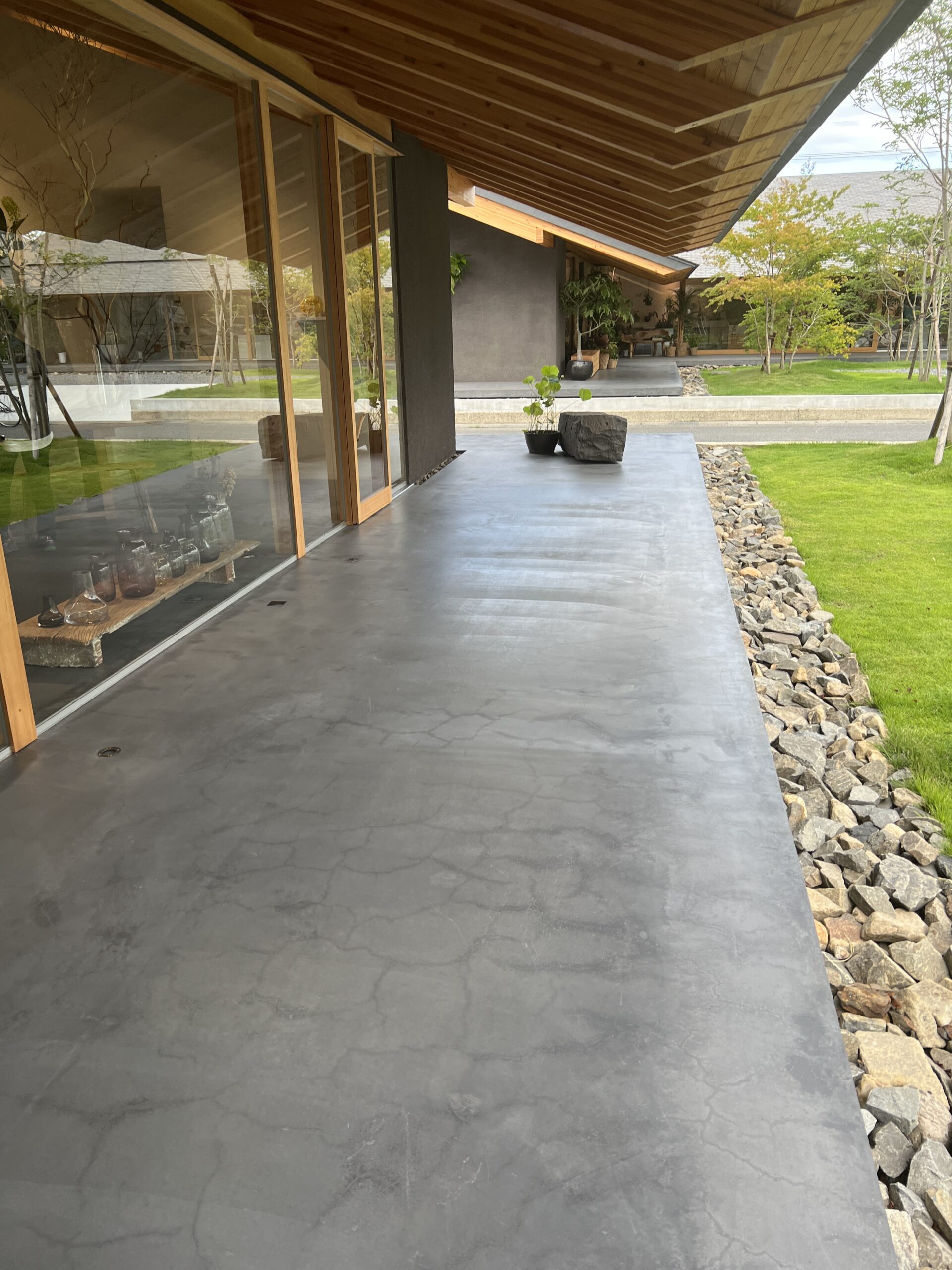 NS – 代表の言葉